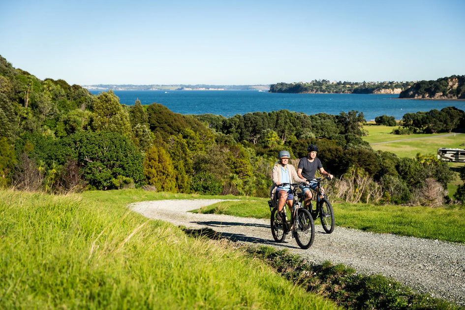 Electric Bikes – Cycling Tom Bike Shop